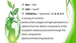 ENVIRONMENTAL SCIENCE - BIOGEOCHEMICAL CYCLE.pptx