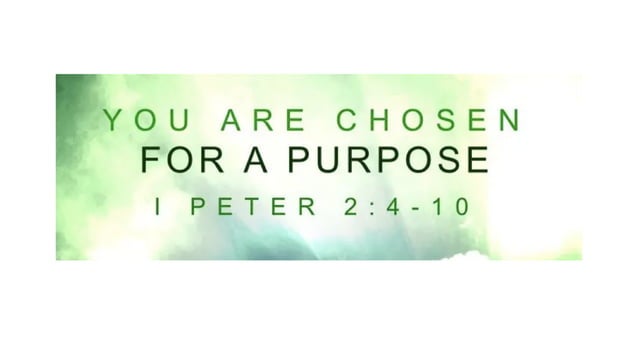 ENVIRONMENTAL SCIENCE - BIOGEOCHEMICAL CYCLE.pptx