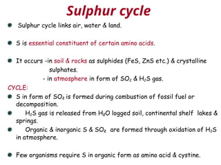 biogeo_chemicr4r4r4r43r3434ral_cycle.ppt