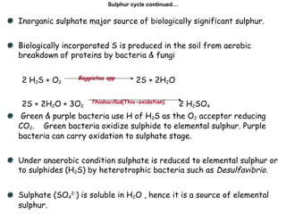 biogeo_chemical_cycle system in general .ppt