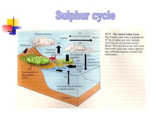 biogeo_chemical_cycle system in general .ppt