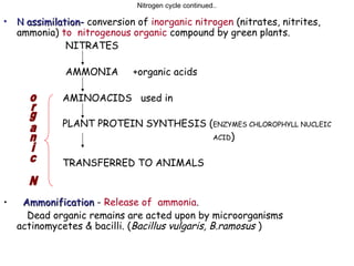 biogeo_chemical_cycle system in general .ppt