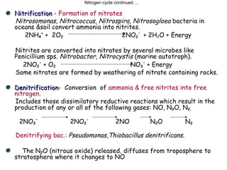 biogeo_chemical_cycle system in general .ppt
