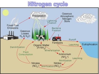 biogeo_chemical_cycle system in general .ppt