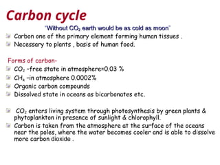 biogeo_chemical_cycle system in general .ppt