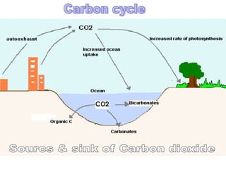 biogeo_chemical_cycle system in general .ppt