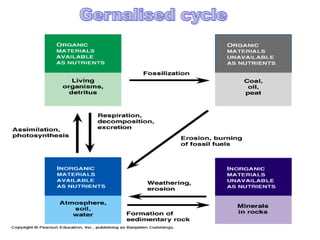 biogeo_chemical_cycle system in general .ppt