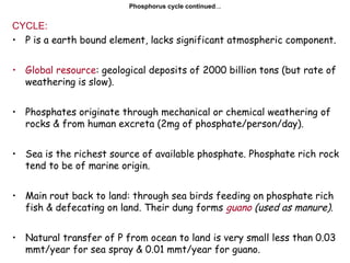 biogeo_chemical_cycle system in general .ppt