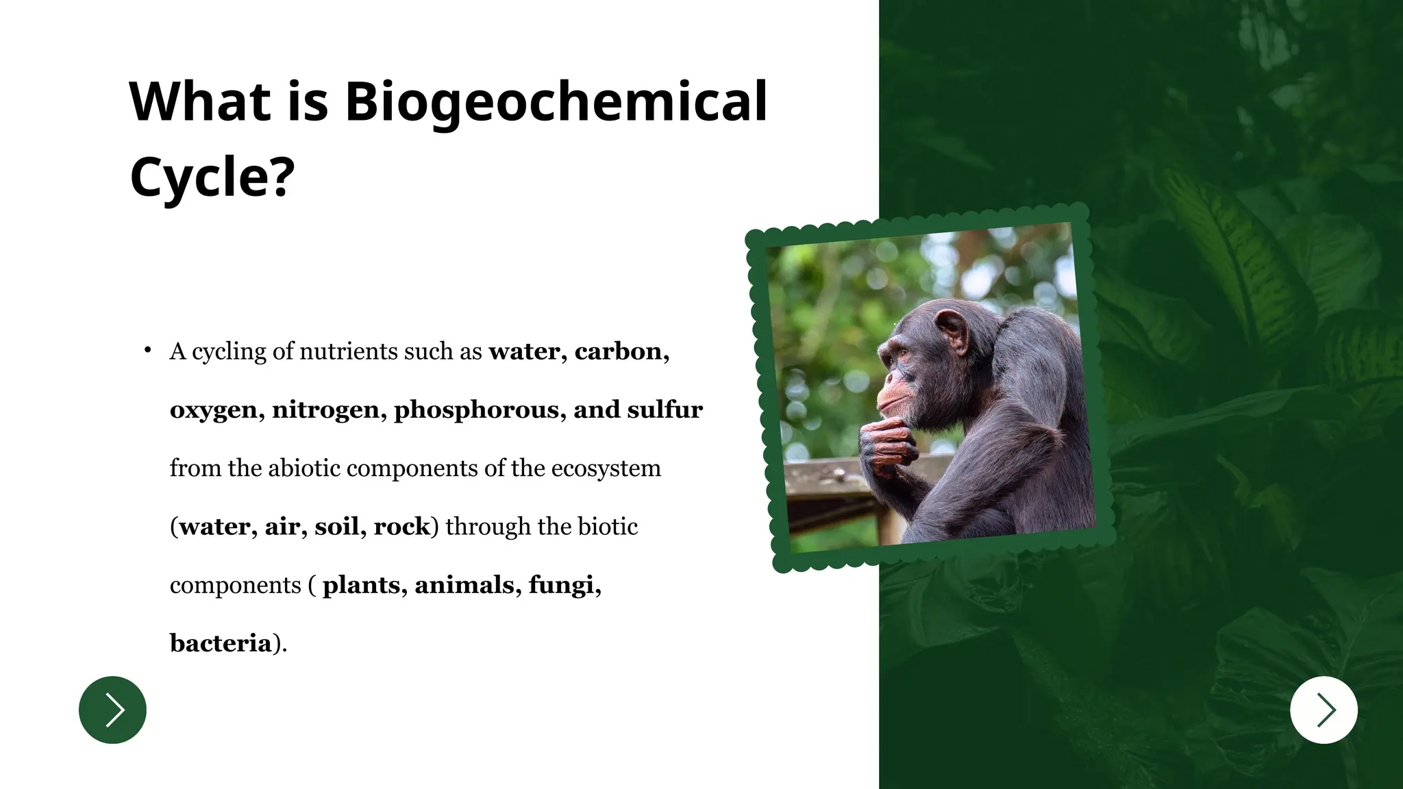 Biogeochemical Cycle-Environmental Science.pptx