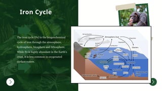 Biogeochemical Cycle-Environmental Science.pptx