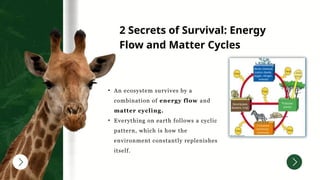 Biogeochemical Cycle-Environmental Science.pptx