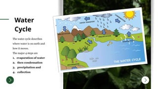 Biogeochemical Cycle-Environmental Science.pptx