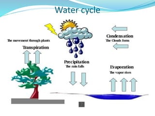 Biogeochemical Cycle (1).pptx