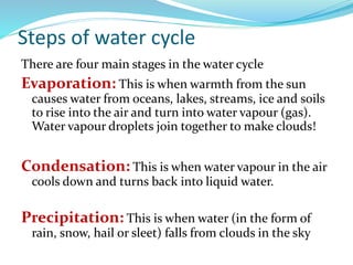 Biogeochemical Cycle (1).pptx