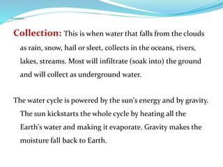 Biogeochemical Cycle (1).pptx