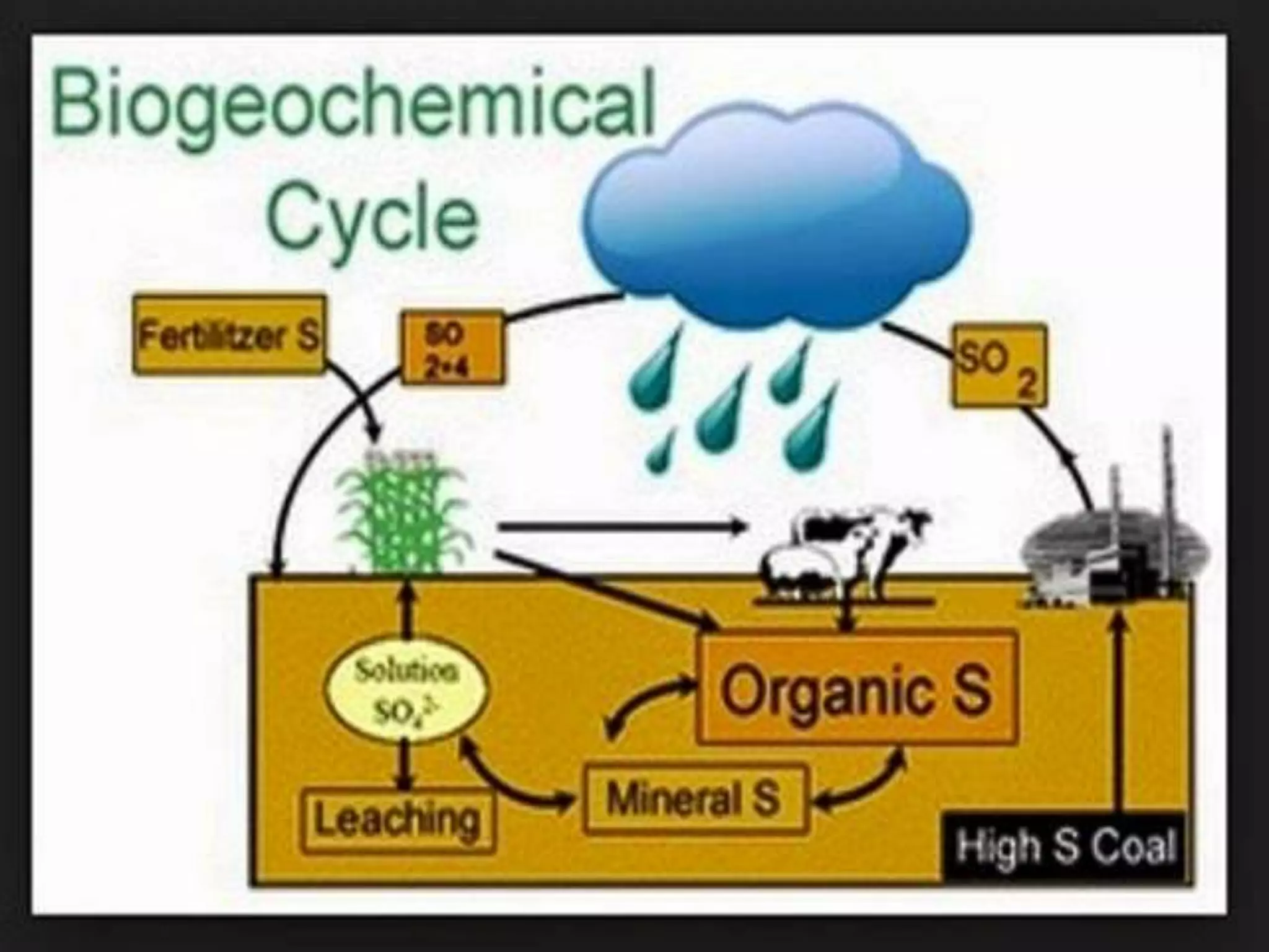 Biogeo chemical cycle class 2.ppt