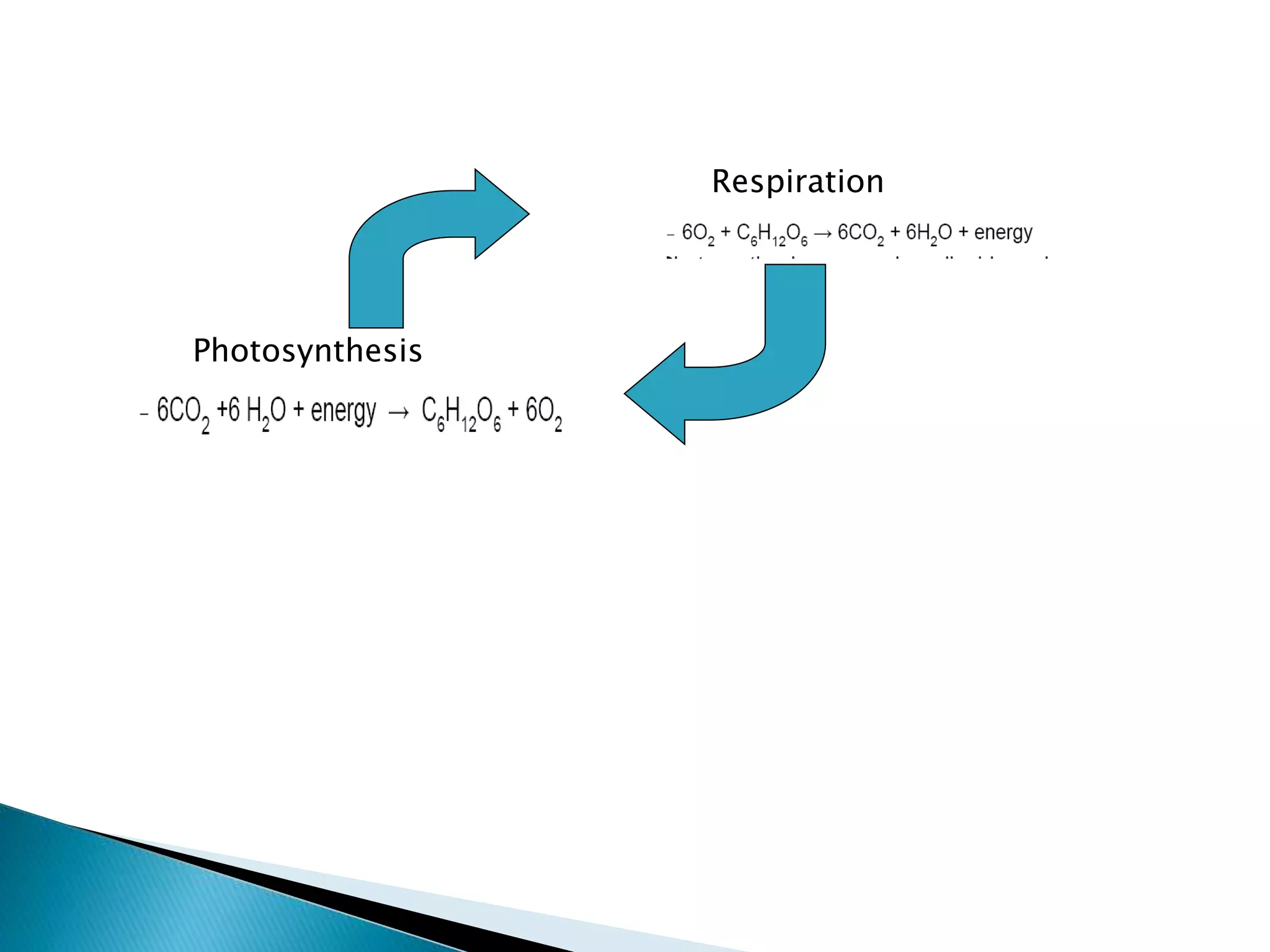 Biogeo chemical cycle class 2.ppt