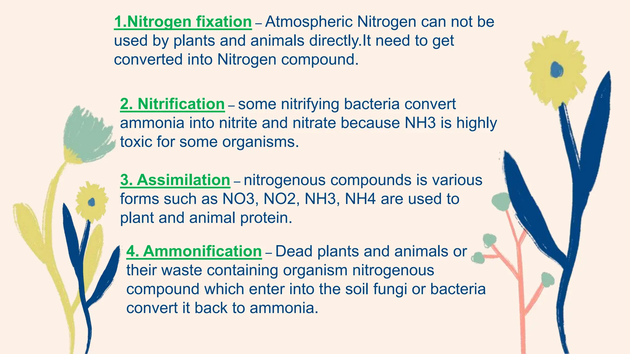 BIOGEOCHEMICAL CYCLE of carbon and nitrogen JK | PPT