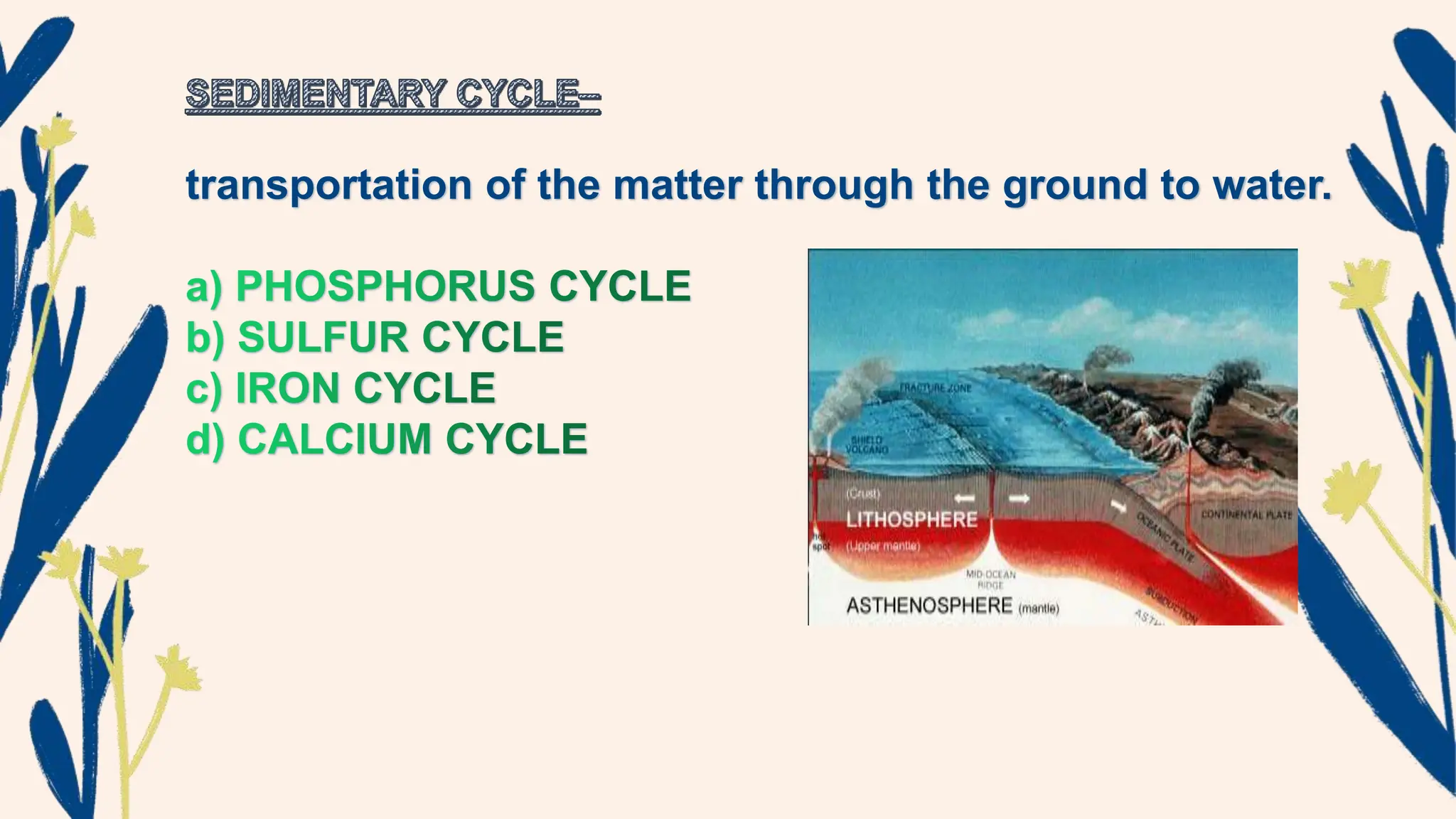BIOGEOCHEMICAL CYCLE of carbon and nitrogen JK | PPTX