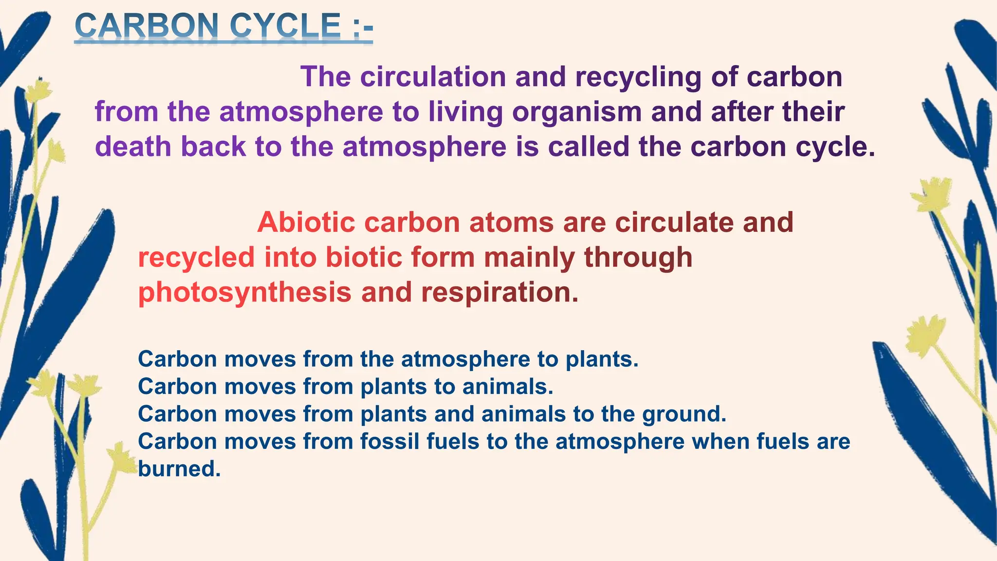 BIOGEOCHEMICAL CYCLE of carbon and nitrogen JK | PPT