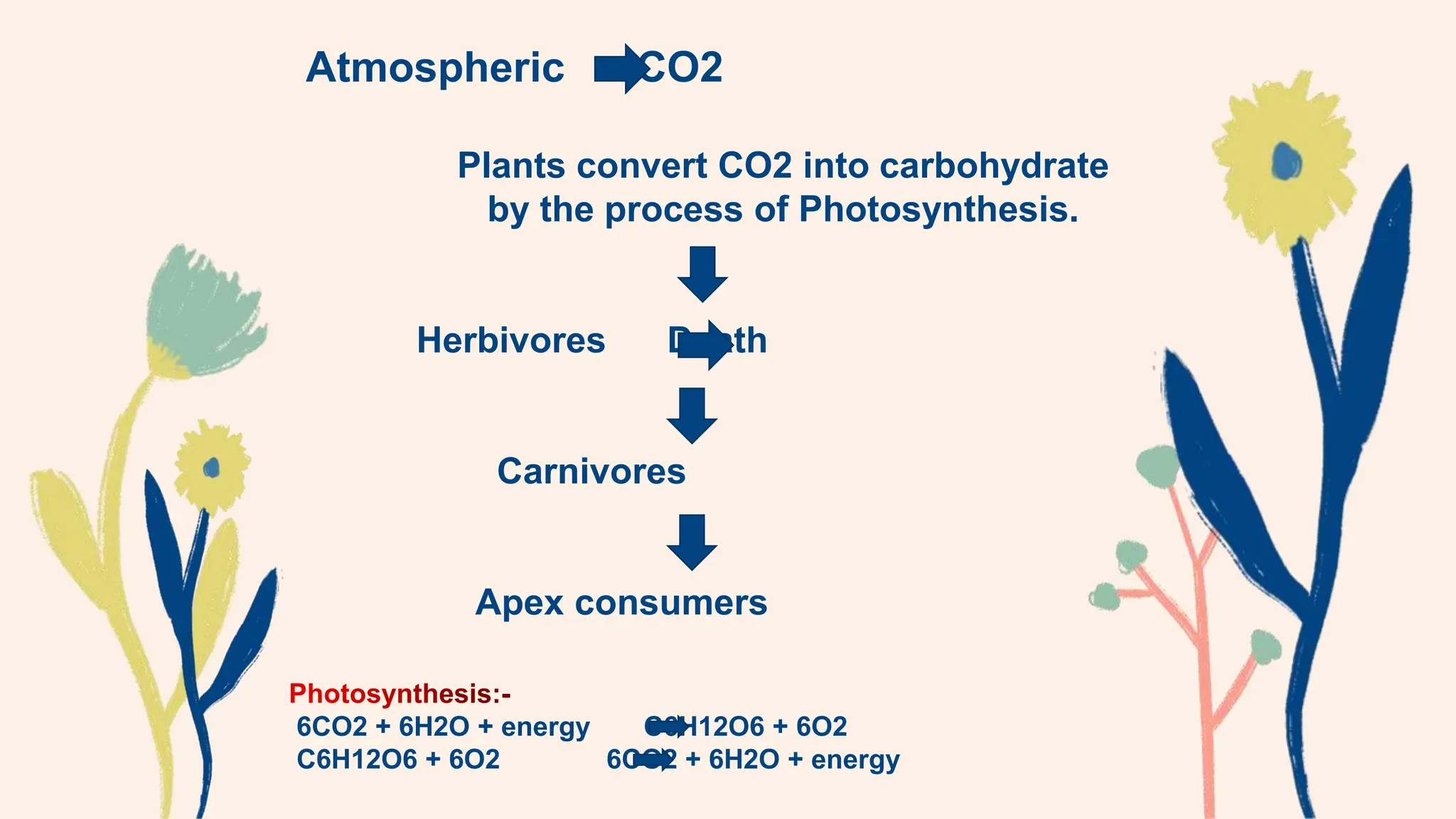 BIOGEOCHEMICAL CYCLE of carbon and nitrogen JK | PPT