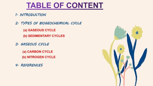 BIOGEOCHEMICAL CYCLE of carbon and nitrogen JK | PPT