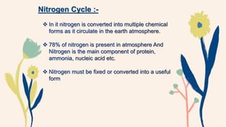 BIOGEOCHEMICAL CYCLE of carbon and nitrogen JK | PPTX