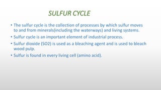Biogeochemical cycle of sulfur | PDF
