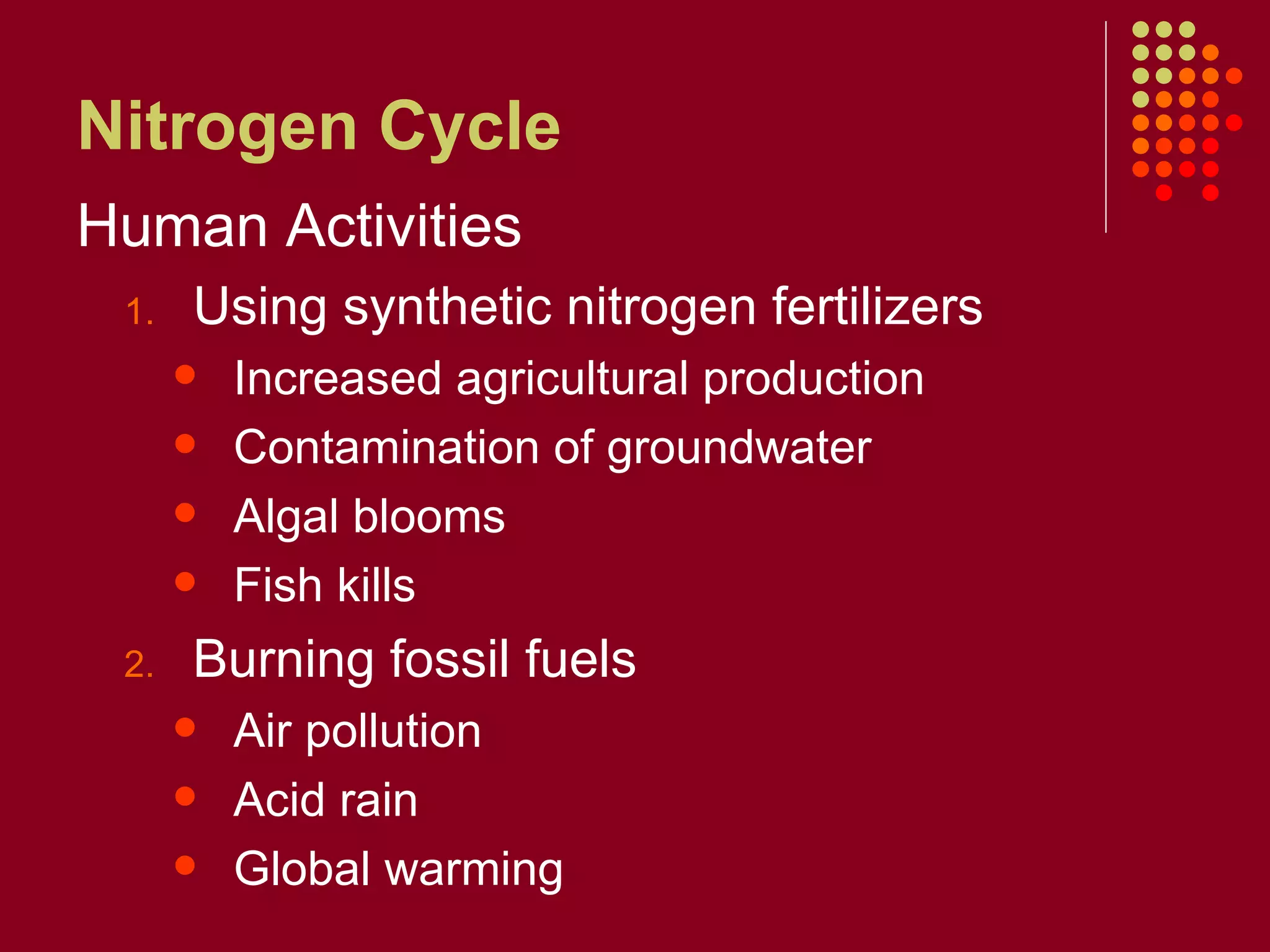 Biogeochemical Cycles | PPT | Chemistry | Science