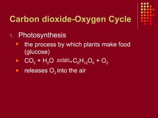 Biogeochemical Cycles | PPT | Chemistry | Science