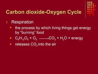 Biogeochemical Cycles | PPT | Chemistry | Science