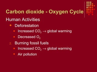 Biogeochemical Cycles | PPT | Chemistry | Science