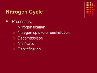 Biogeochemical Cycles | PPT | Chemistry | Science