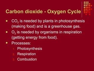 Biogeochemical Cycles | PPT | Chemistry | Science