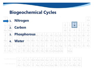 Biogeochemical cycles | PPT
