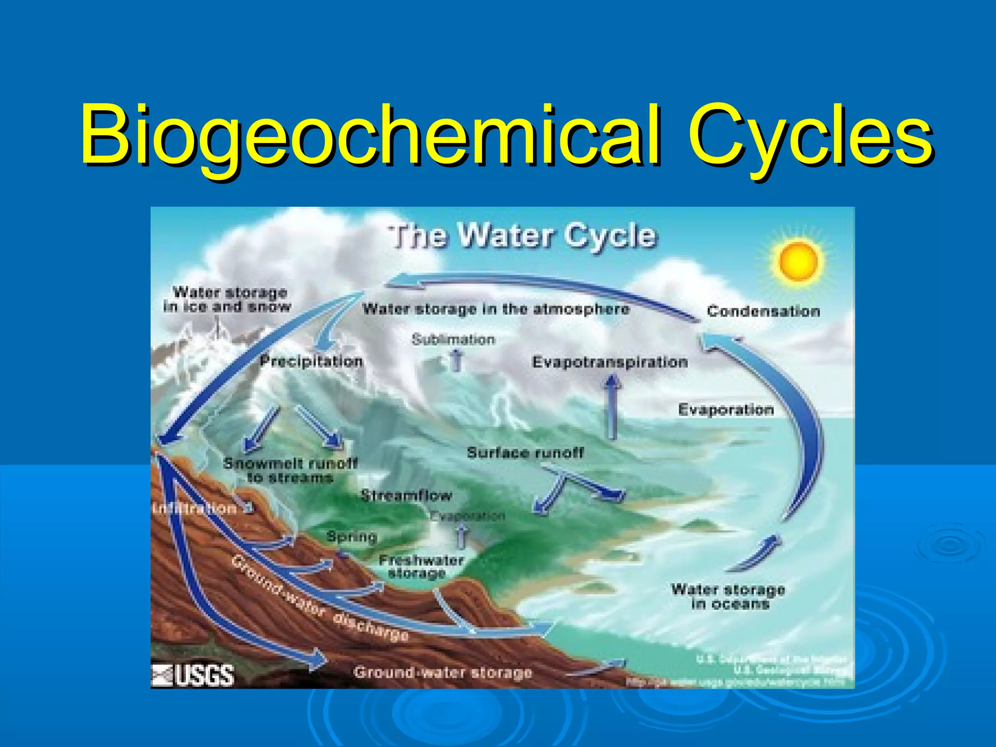 Biogeochemical cycles | PPT