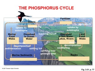 Biogeochemical cycles | PPT