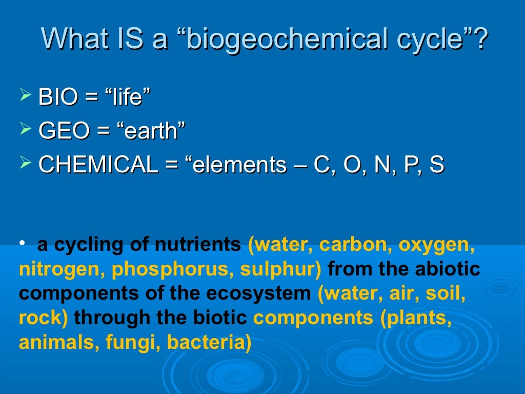 Biogeochemical Cycles biogeochemical-cycles