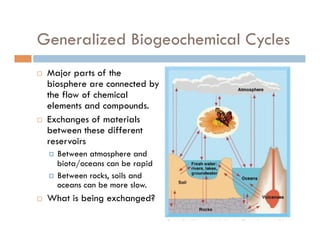Biogeochemical cycles | PDF