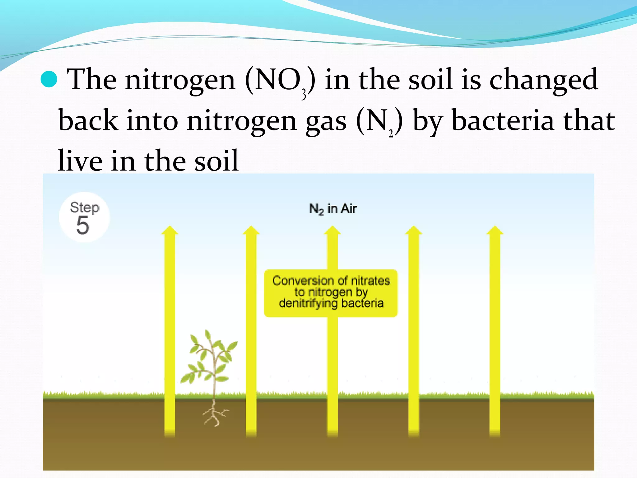 Biogeochemical Cycles: Natural Cycles of Elements | PPT