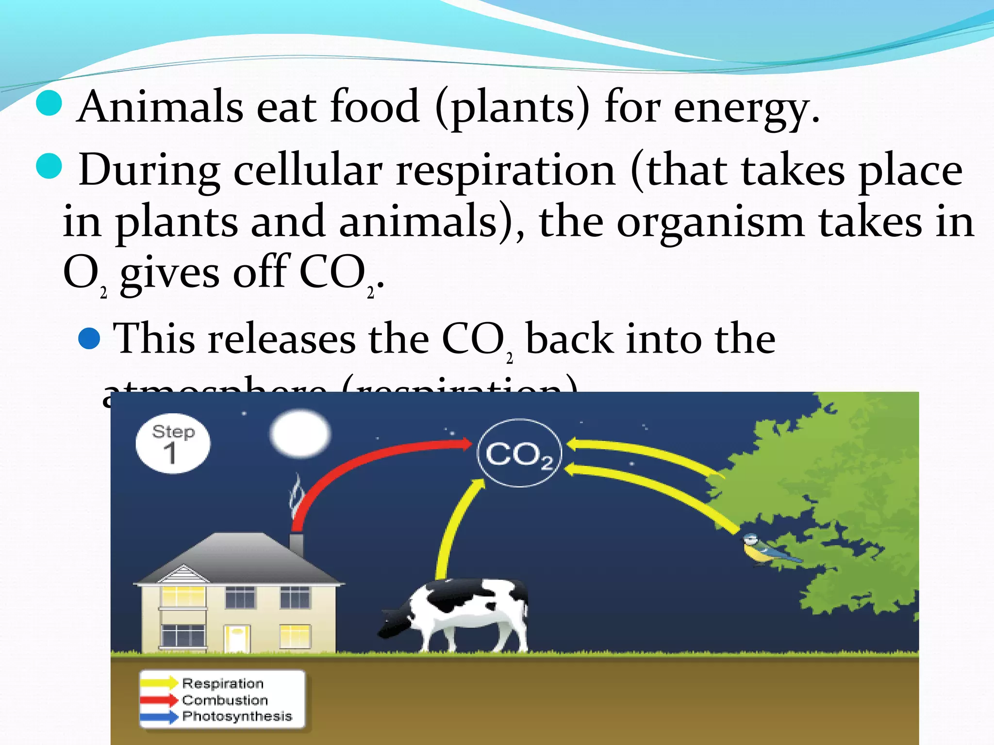 Biogeochemical Cycles: Natural Cycles of Elements | PPT