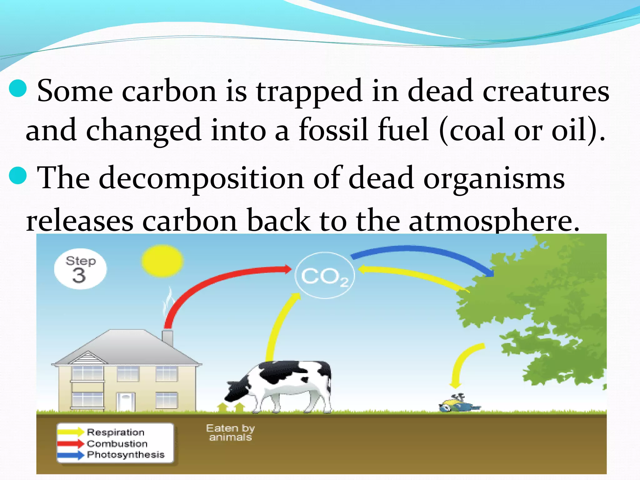 Biogeochemical Cycles: Natural Cycles of Elements | PPT