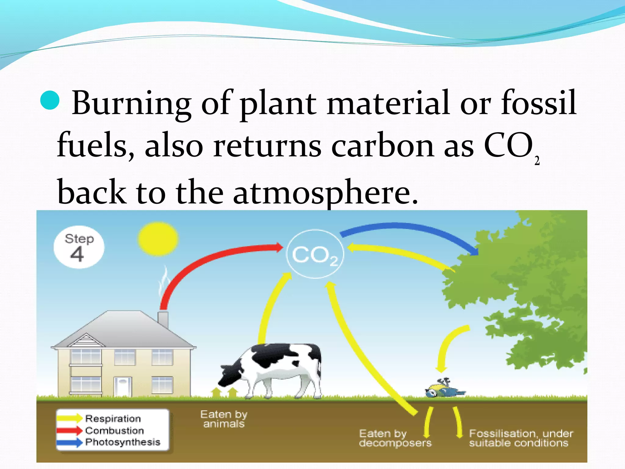 Biogeochemical Cycles: Natural Cycles of Elements | PPT