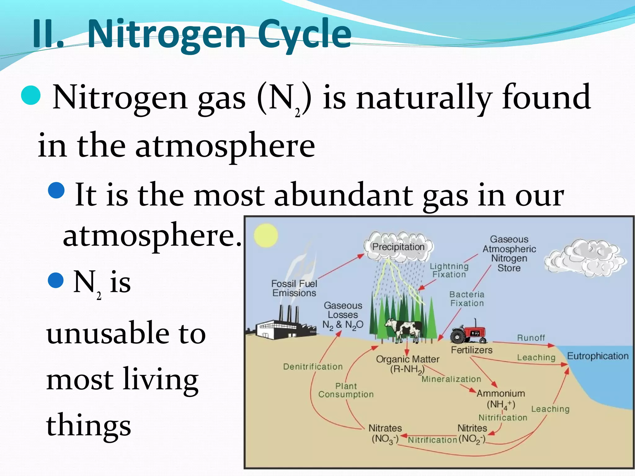 Biogeochemical Cycles: Natural Cycles of Elements | PPT