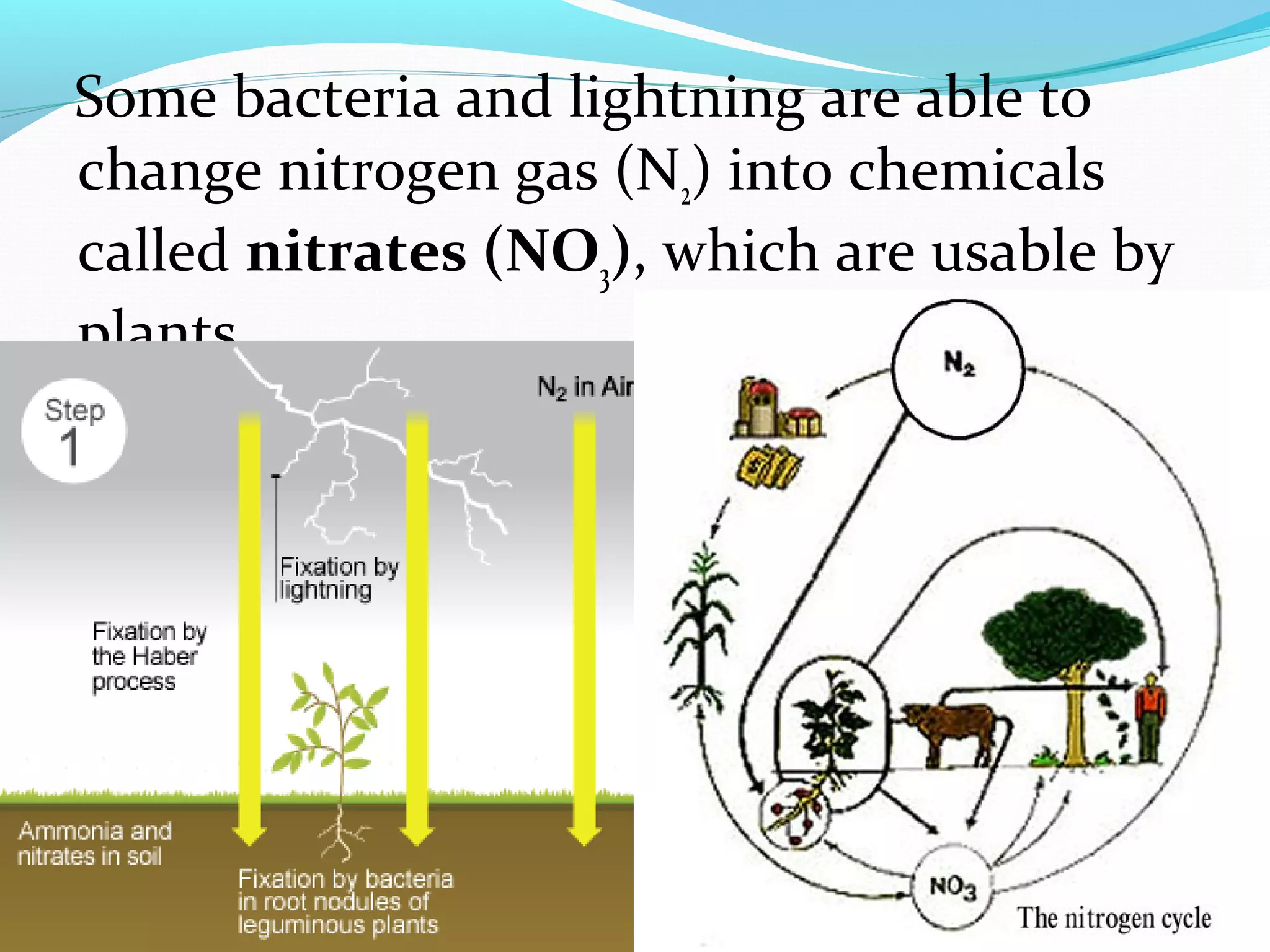 Biogeochemical Cycles: Natural Cycles of Elements | PPT