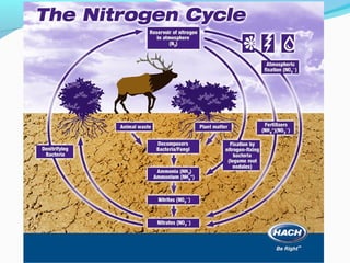 Biogeochemical Cycles: Natural Cycles of Elements | PPT