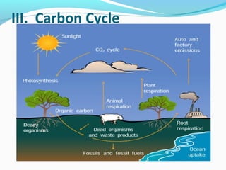 Biogeochemical Cycles: Natural Cycles of Elements | PPT