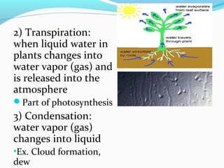 Biogeochemical Cycles: Natural Cycles of Elements | PPT