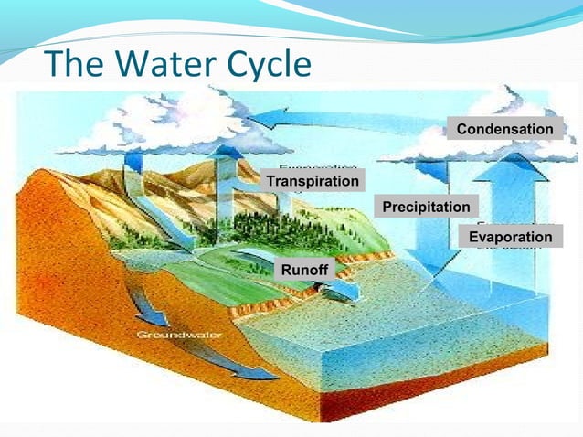 Biogeochemical Cycles: Natural Cycles of Elements | PPT | Indoor ...