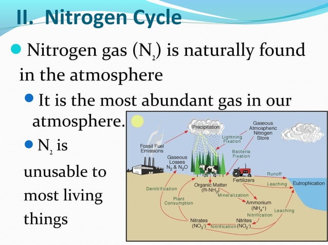 Biogeochemical Cycles: Natural Cycles of Elements | PPT | Indoor ...